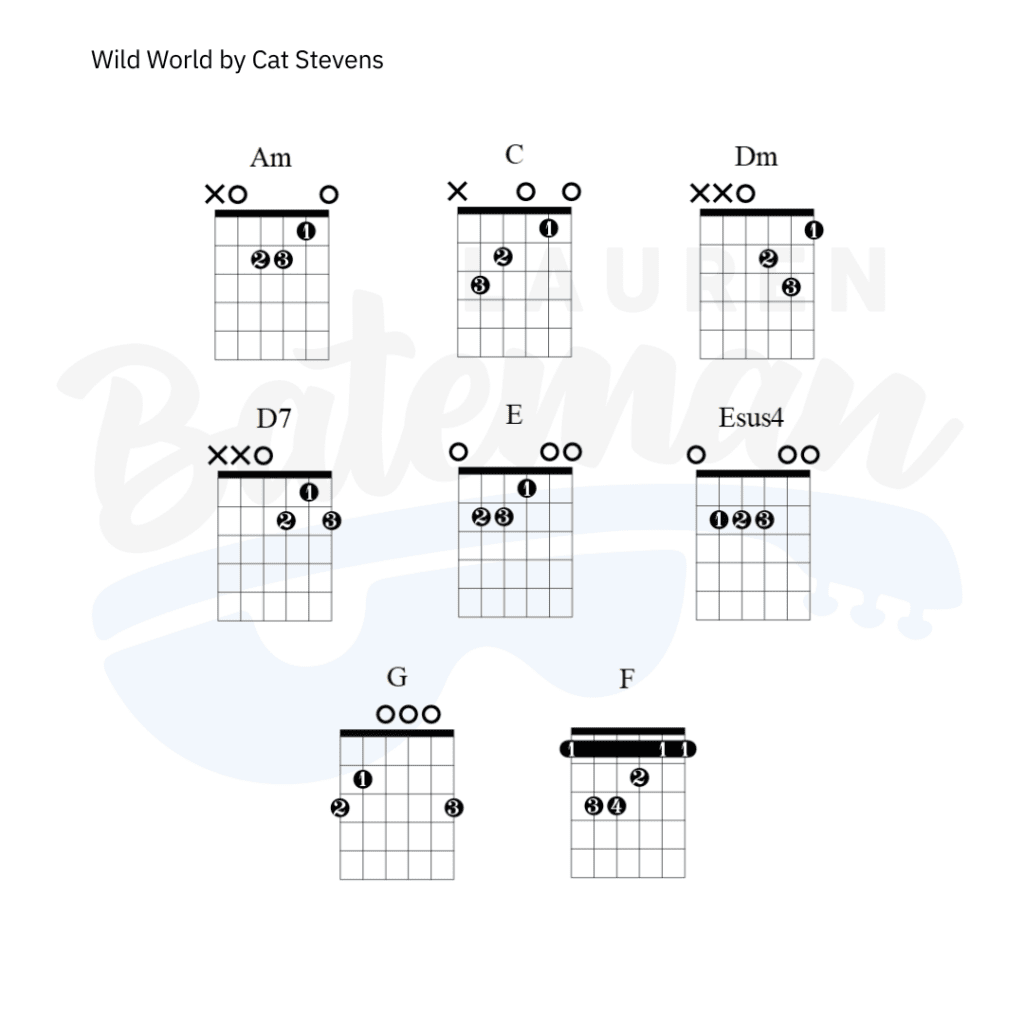 Wild World Chord & Guitar Lesson by Cat Stevens