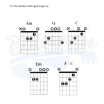 Torn Chord & Guitar Lesson by Natalie Imbruglia